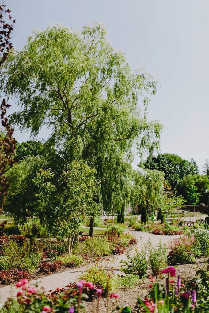 The OutPost at Pillar & Post | Outdoor Café in Niagara-on-the-Lake